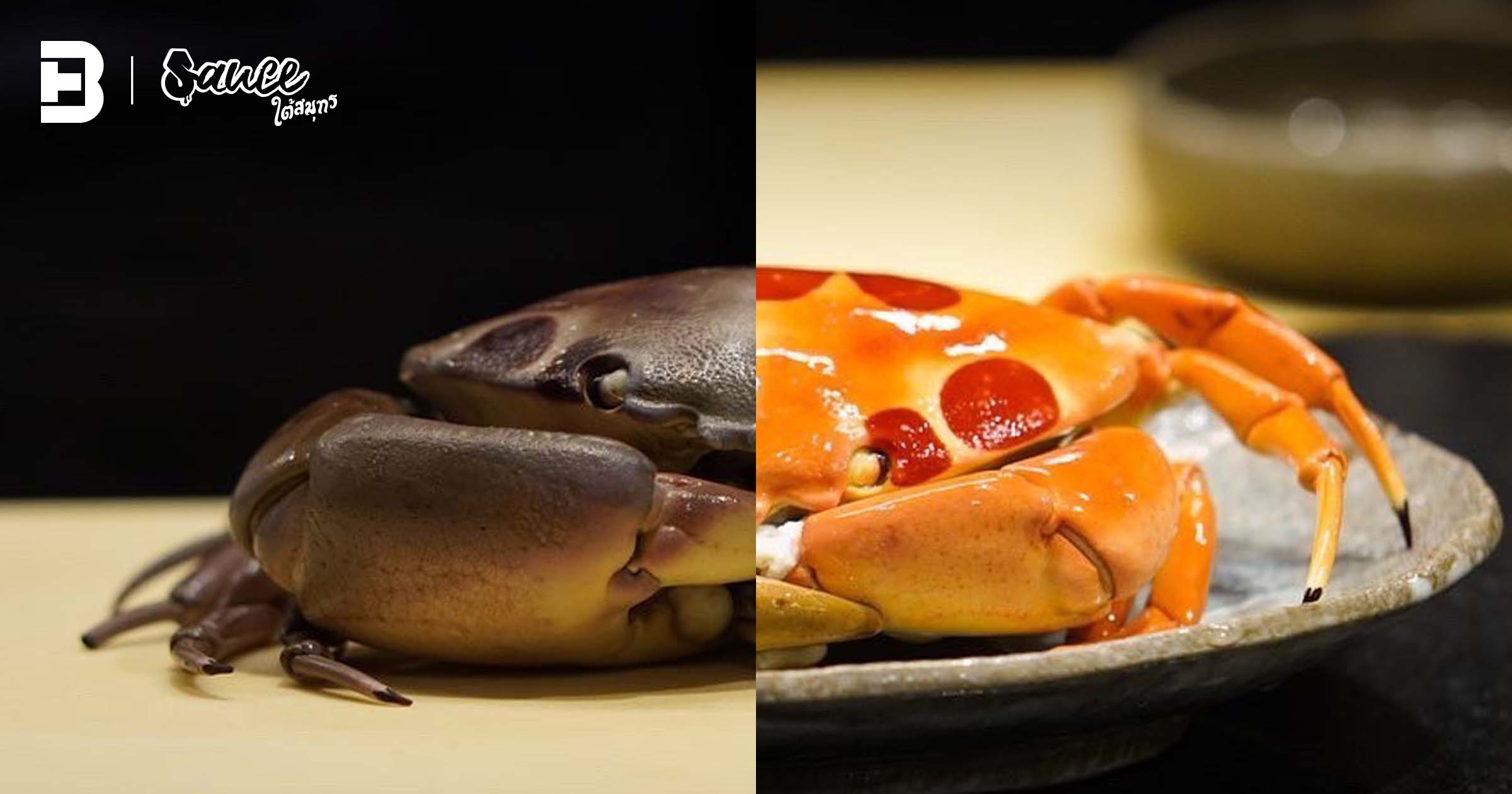 ‘Akamon Kani’ ข้าวยำปูพิษ l SAUCE | BrandThink