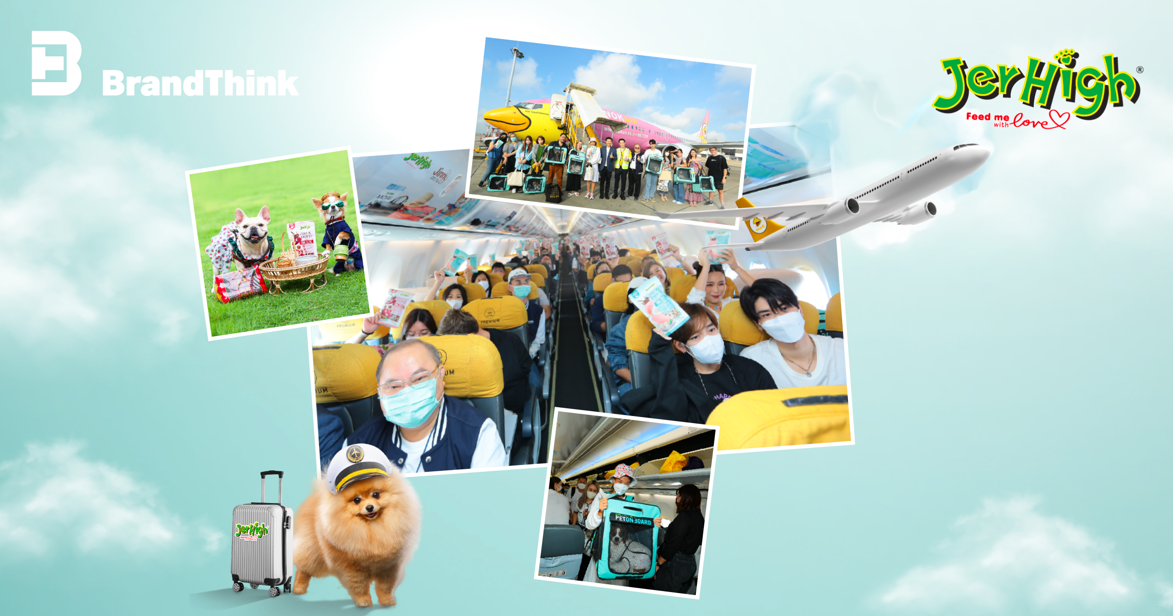 Paws can fly น้องหมาขอบิน! เจอร์ไฮจัดเที่ยวบินพิเศษ พาน้องหมาขึ้น ...