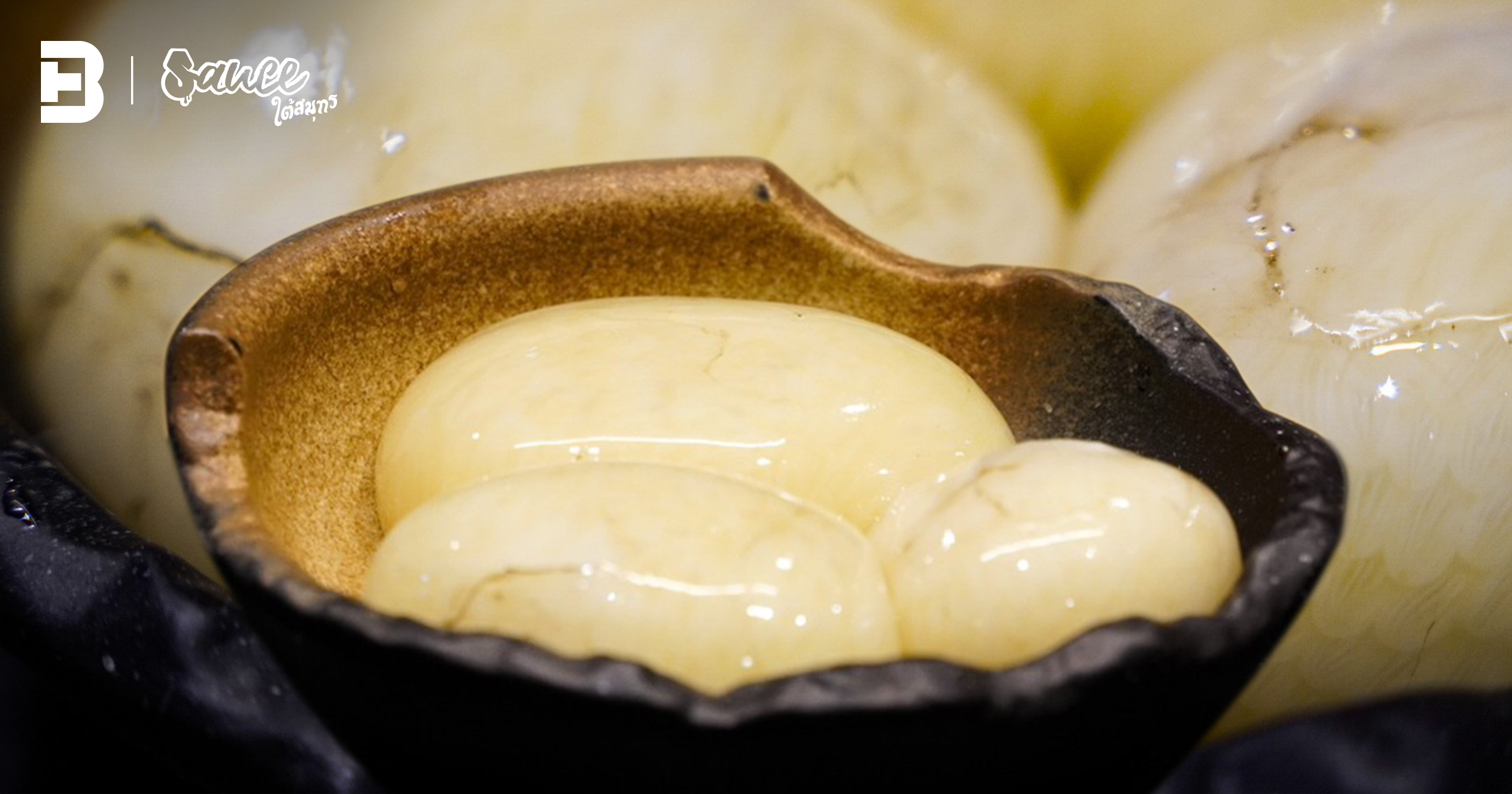 ไข่เอเลียนแห่งท้องทะเล l SAUCE | BrandThink