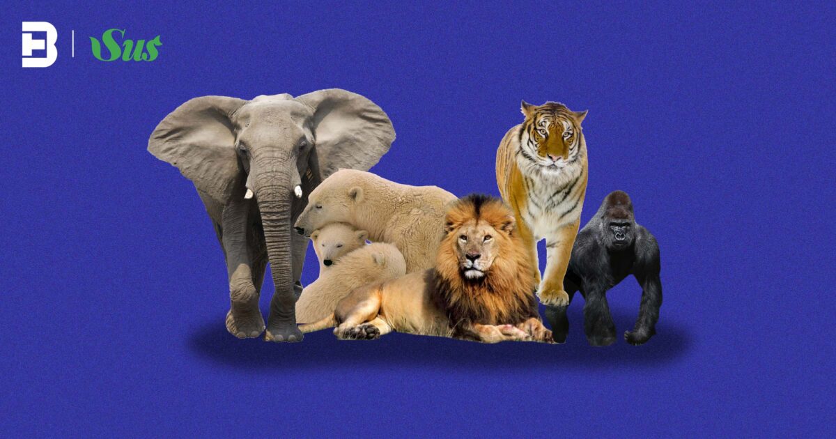 ทำความรู้จัก ‘NEW BIG 5’ ตัวแทนสัตว์ใกล้สูญพันธุ์ 5 ชนิด ที่ช่างภาพทั่วโลกอยากกดชัตเตอร์ใส่รัวๆ ...