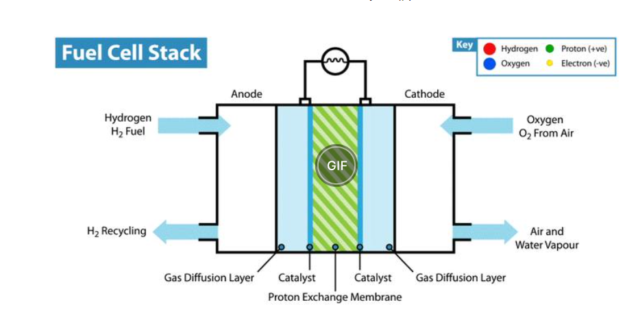 Hydrogen fuel cells: Powering the power plant of the future | Thinkster